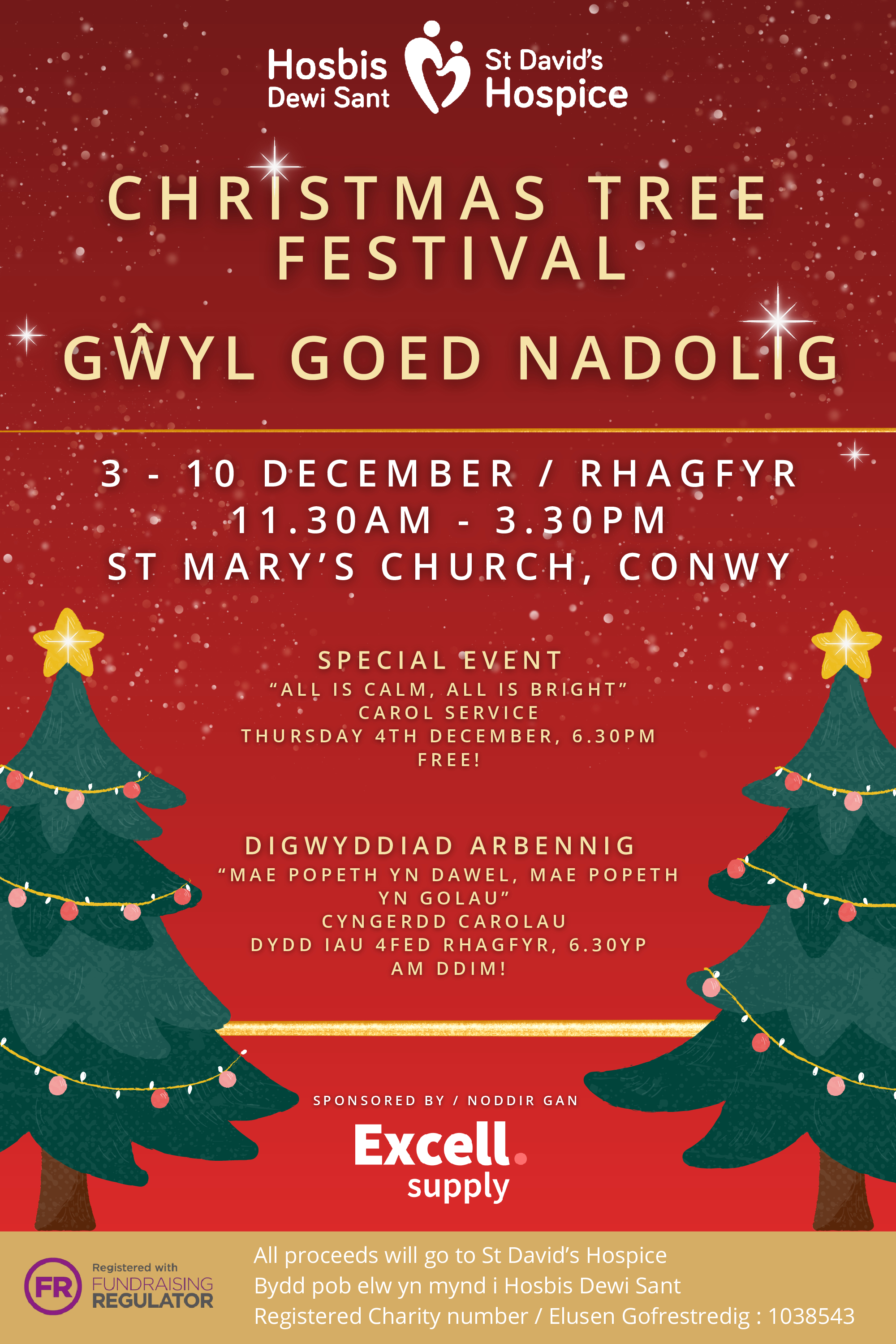 St. David’s Christmas Tree Festival – caruconwy.com